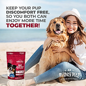 MAX Urinary Tract Support + MAX Hemp Hip & Joint Support for Dogs