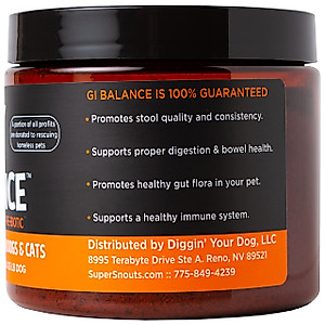 Super Snouts GI Balance Digestive Supplement for Dogs & Cats, 3.1 oz Pumpkin Powder for Dogs & Prebiotic Gut Health, Immune Support