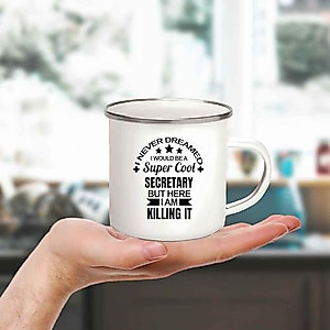 Humorous Gift Unique Office Professional Gift For Secretaries, Anniversary Surprise For Aunt - Killing It, Inspirational Quote On 12oz Enamel Silver Mug