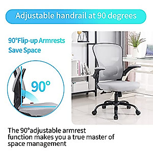 Flysky Ergonomic Office Chair, Mesh Home Office Desk Chair with Flip-up Arms and Lumbar Support, Height Adjustable, Swivel, Gray