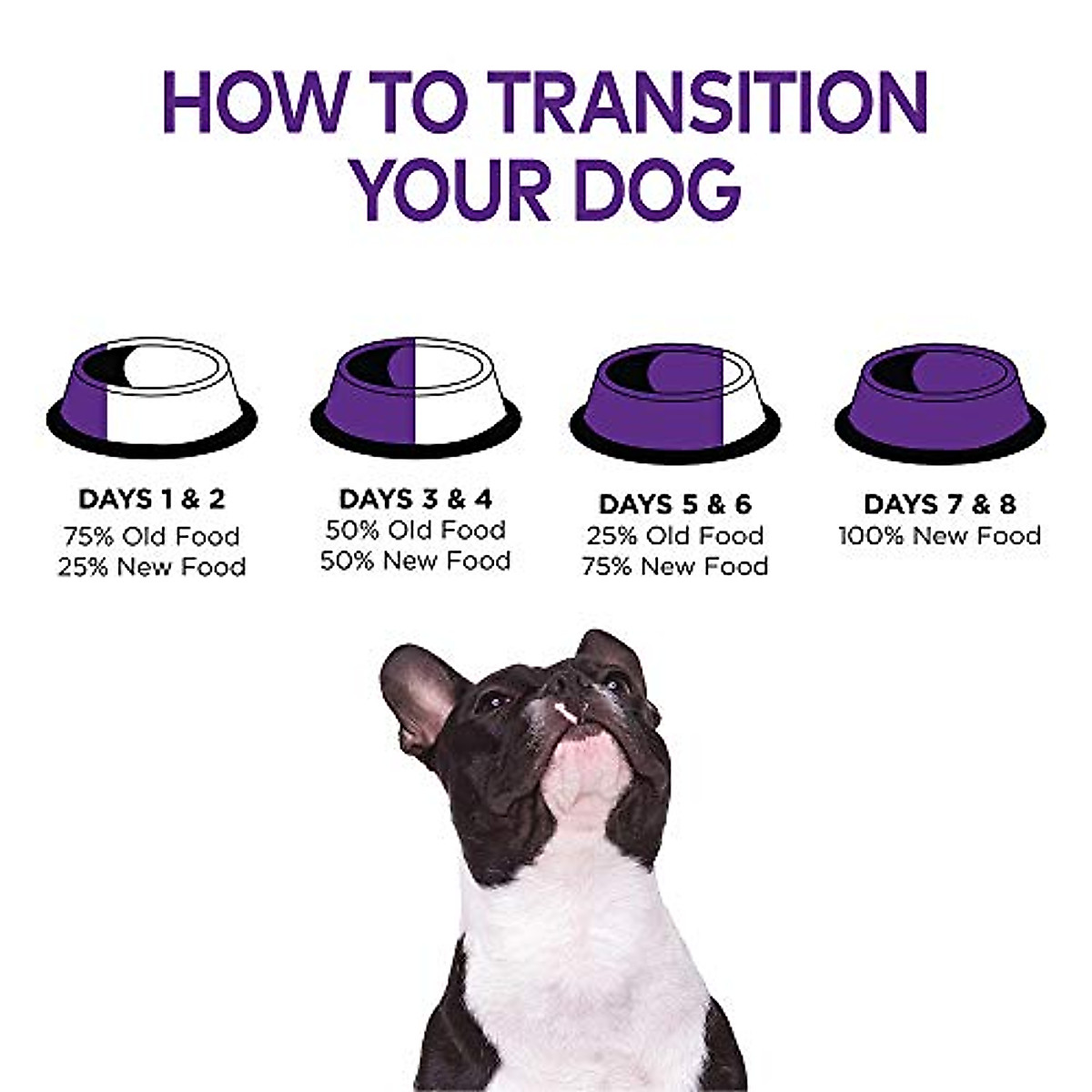 Wellness Complete Health Senior Dry Dog Food with Grains, Natural Ingredients, Made in USA with Real Meat, All Breeds (Chicken & Barley, 30-Pound Bag)