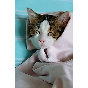 PARK&OZ ( 2 Pack ) Turkish Cotton Lightweight Towel | Pre-Washed | Absorbent and Quick Dry | Sand Free | Oversized | Towels for Beach,Pool,Bathroom,Spa,Travel,Camping,Fitness,Yoga (White)