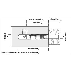 Apolo Mea 910expfx – Taco FX 10 in Plastic Pot 70 Pcs Per Pot, 70 Units