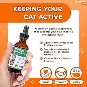 LIQUIDHEALTH Pets K9 Complete 8-in-1 Multivitamin for Dogs & Puppies & Joint Purr-Fection Hip & Joint Glucosamine Chondroitin Drops for Cats - Pet Supplement Bundle for Joint Health, Immune Support