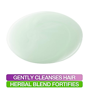 Mane 'n Tail: Herbal Gro Shampoo + Conditioner (12 oz Each), Olive Oil Complex That Helps Strengthens & Nourishes Hair