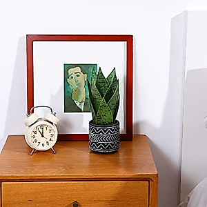 Kazeila 3 Pack Potted Fake Plants Artifical Snake Plant,Greenery Eucalyptus Leaves Plant and Flocked Sage Plant,Faux Desk Plants for Indoor Home Office Farmhouse Kitchen Bathroom Table Decor