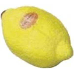 Remo Lemon Shaker