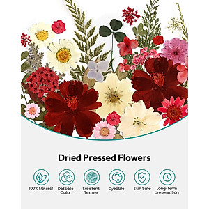 Dried Flowers, Resiners 100 Pcs Pressed Flowers for Craft Red Real Natural Dried Flowers Dry Leaves Kit for DIY Making Crafts Resin Soap Candle Scrapbook Supplies Card Making Jewelry