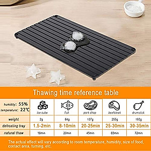 Coitak Defrosting Tray, Defroster for Defrost Frozen Food Quickly, Natural Way for Meat Defrosting, Large Size 13.8X7.8 inch