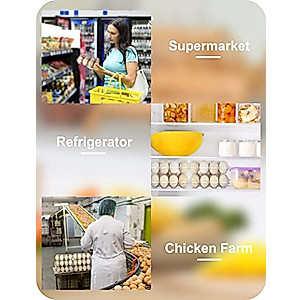 Pintuson Egg Cartons Cheap Bulk 60 Pack - Holds 1 Dozen Clear Blank Egg Cartons for Chicken Eggs - Medium Plastic Egg Carton for Home Ranch Chicken Farm, Commercial Market Display (3x4 Grids)