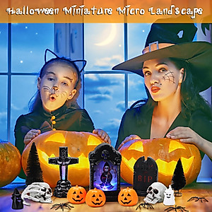 Retisee 28 Pcs Halloween Miniature Micro Landscape Village Accessories Ornaments Set Black Christmas Tree LED Tombstones Skeleton Pumpkin Statues for Halloween Party Set Decor