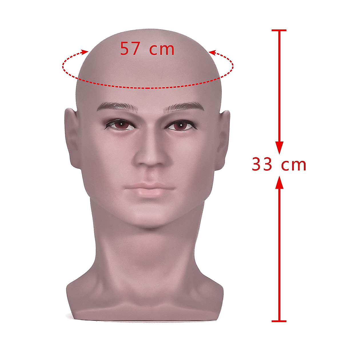 ZMS Male Mannequin Head Stand Professional Training Bald Head Manikin Bald Hat Display Wig Training Head ModelClamp(High 33cm, Circumference 57cm)
