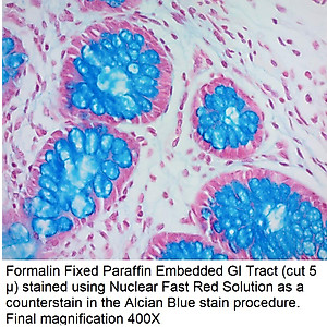 Nuclear Fast Red Solution, 500ml