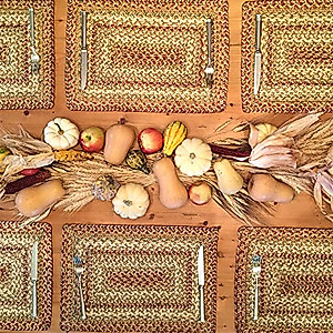 Homespice Harvest Premium Jute Braided Trivet 8" (Set of 6) Round Beige, Tan Reversible, Natural Jute Yarn Rustic, Country, Primitive, Farmhouse Style - 30 Day Risk Free Purchase