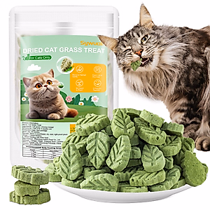 SYWUAII 100g/3.52oz Cat Grass Treats, Cat Grass Teething Stick for Hairball Remove and Teeth Cleaning, Edible Cat Grass Stick Snack