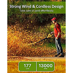 OMOTE Cordless Leaf Blower with Battery & Charger, Low Noise, Lightweight, Easy One-Button Control, Battery Powered, 177 CFM for Blowing Leaves, Lawn Care, Dust & Other Debris