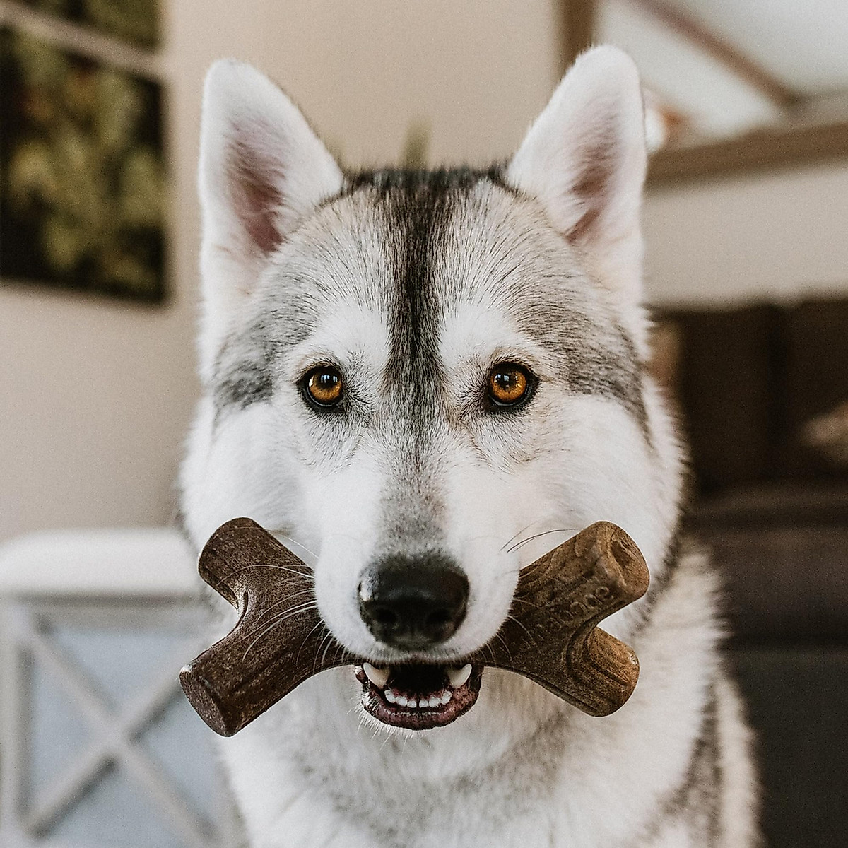 Lumabone Real Bacon Medium 3-Pack Durable Dog Chew Toys for Aggressive Chewers, Made in USA & Real Bacon 3-Pack Dog Toys for Aggressive Chewers,Wishbone, Dental Chew, Ring Bacon Medium