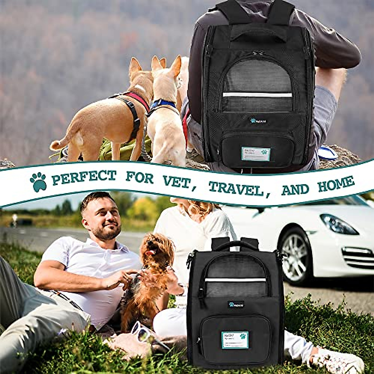 PetAmi Deluxe Pet Carrier Backpack for Small Cats and Dogs, Puppies | Ventilated Design, Two-Sided Entry, Safety Features and Cushion Back Support | for Travel, Hiking, Outdoor Use (Black)