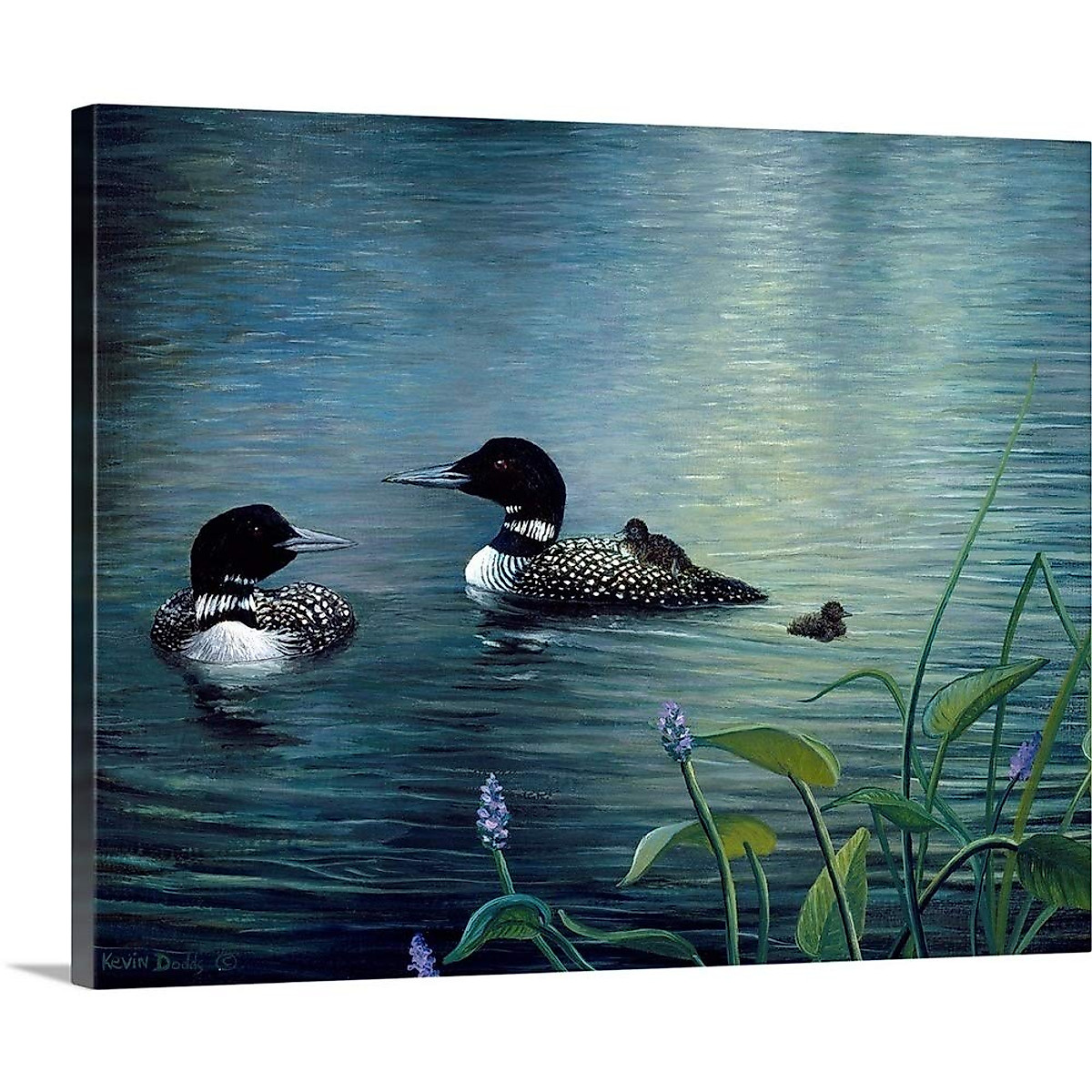 CANVAS ON DEMAND Virginia Loons Canvas Wall Art Print by Kevin Dodds, Contemporary, Home Decor, Bird, Wildlife Artwork, 20" x16in