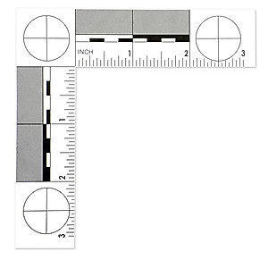 No. 2 Photomacrographic Scale (Inches)