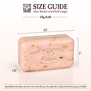 Pre de Provence Artisanal Soap Bar, Natural French Skincare, Enriched with Organic Shea Butter, Quad Milled for Rich, Smooth & Moisturizing Lather, Cashmere Woods, 5.3 Ounce