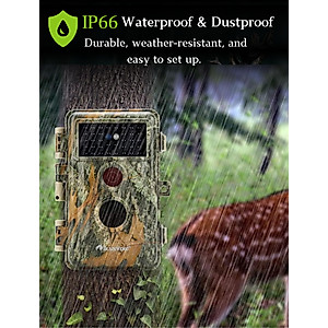BLAZEVIDEO 2-Pack Game & Trail Camera 32MP 1296P MP4 Video No Glow Night Vision Motion Activated IP66 Waterproof 0.3 Trigger Speed for Hunting Wildlife & Home Surveillance