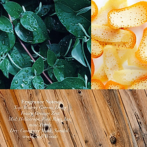 Catherine Malandrino Transcendent 3.4 oz EDP, 3.4 fl. oz.