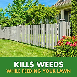 Spectracide Weed & Feed 20-0-0 (Ready-to-Spray) (32 fl oz), 1 pack