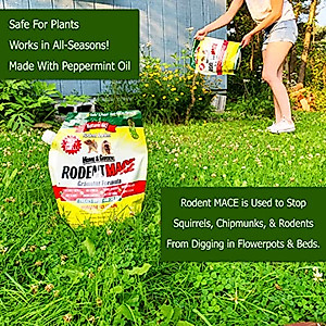 Nature’s MACE Rodent Repellent 6lb / Covers 1,000 Sq. Ft. / Repel Mice & Rats/Keep Mice, Rats & Rodents Out of Home, Garage, Attic, and Crawl Space/Safe to use Around Children & Pets
