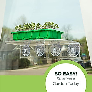 Window Garden Double Veg Ledge - Window Shelf for Plants, Clear Acrylic Shelves - Suction Cup Indoor Plant Holder - Glass Window Sill Extender for Microgreens Kit, Planters (1 Pack)