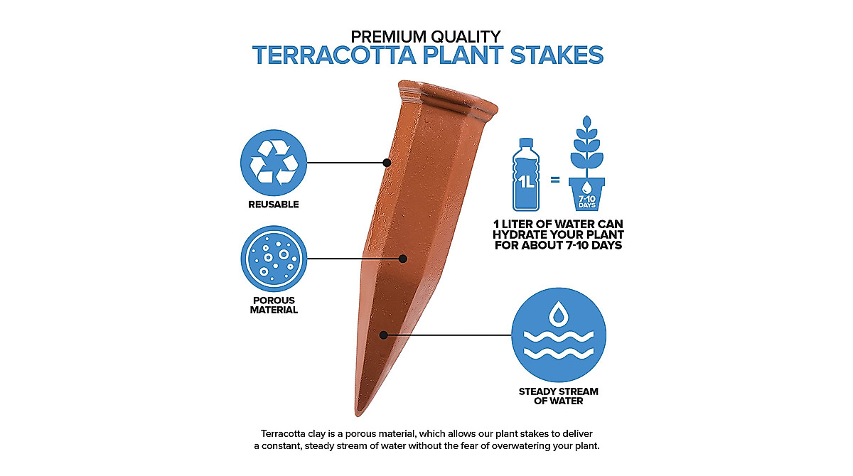 Self-Watering Terracotta Spikes for Hassle-Free Plant Care