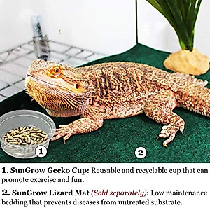 SunGrow Gecko Food and Water Containers, Reusable, Recyclable, Disposable Cups, 0.5 oz Capacity Plastic Transparent Dishes, Fits Various Reptile Feeder, 1.6” Diameter, 0.6” Depth, 100 Pcs