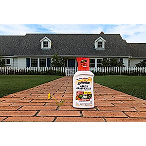 Spectracide Weed and Grass Killer Concentrate, 32 Ounces, With Accumeasure System