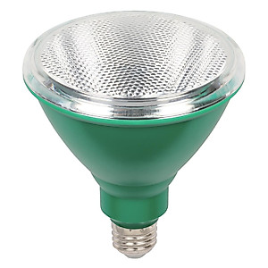 Westinghouse Flood Outdoor Weatherproof LED Light Bulb with Medium Base