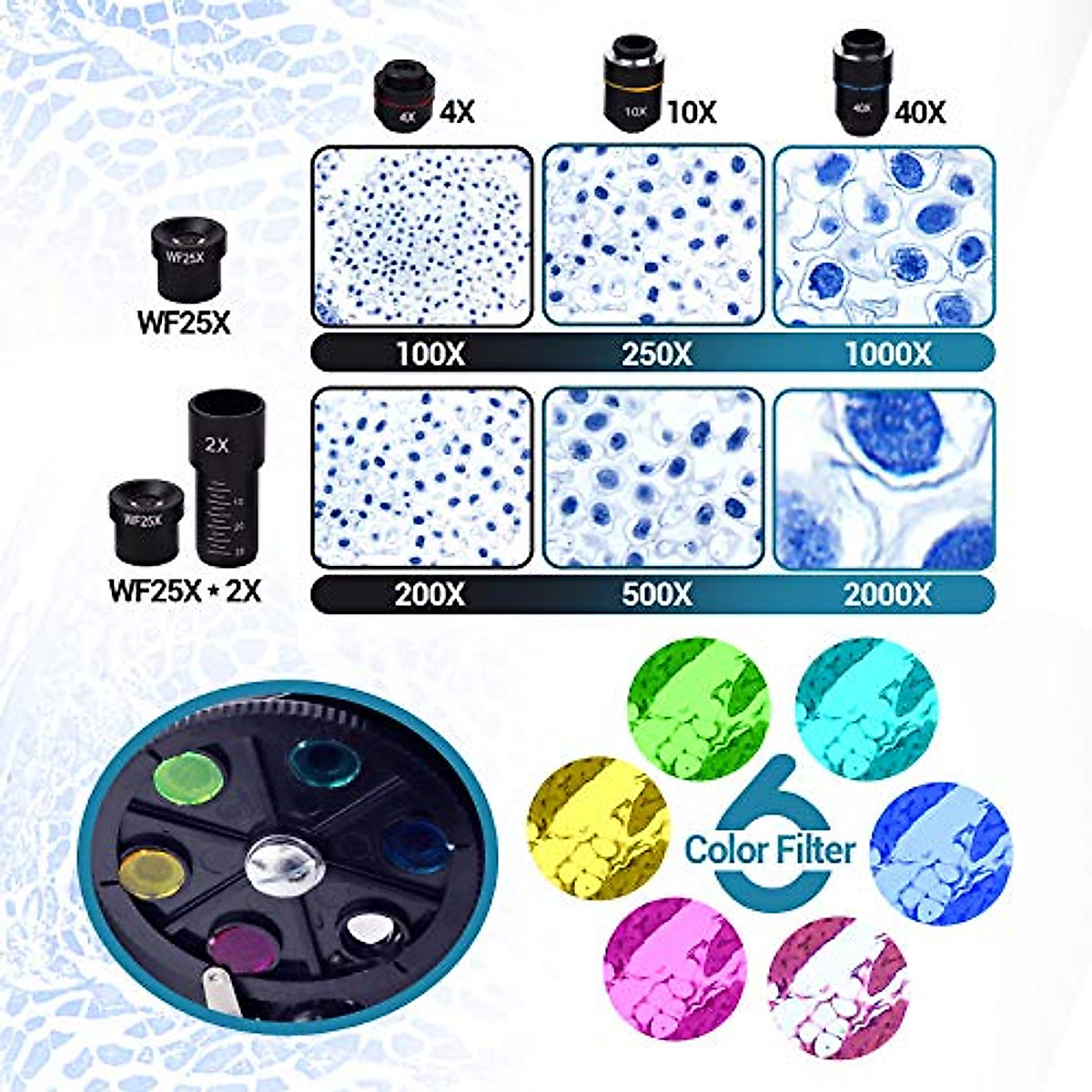 USCAMEL Microscope for Adults Kids, 100X-2000X Magnification Microscope with Microscope Slides Phone Adapter, Compound Monocular Microscope Kit for Students School Home Education