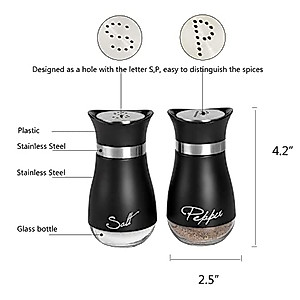 Salt and Pepper Shakers Set with Stainless Steel Lid and Glass Bottle,for Kitchen Table, RV, Camp, BBQ (Black)