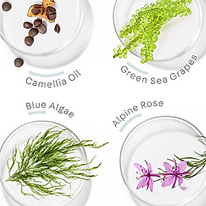 NATURELAB. TOKYO Perfect Texture Curl Conditioner: Strengthen, Smooth and Hydrate Naturally Textured and Curly Hair for a Frizz-Free, Healthy Shine I 11.5 FL OZ / 340ml