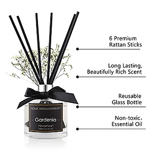 NEVAEHEART Diffuser Set,Parisian Garden Diffuser Gifts for Women,3.4oz(100ml) Diffuser with Sticks, Home Fragrance Diffuser for Living Room, Office & Bathroom Shelf