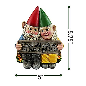 DWK - Growing Old Together - Garden Gnome Couple in Love Collectible Figurine Best Friends Lovers Romantic Statue Indoor Outdoor Garden Patio Home Décor, 5.75-inch