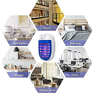 Bug Zapper Indoor Plug-in Mosquito Killer Trap Zapper, Electric Gnat Fly Trap Zapper for House Mini Bug Killer Light Eliminates Flying Pests for Home, Little Gnats (Blue)