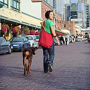 ChuckIt! Junior 18M Dog Ball Launcher, 18" Length, Includes Medium Ball (2.5") For Dogs 20-60 Pounds