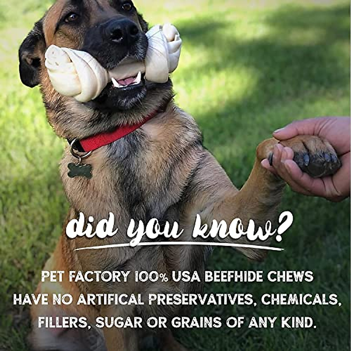 Pet Factory 100% Made in USA Beefhide 4-5" Knotted Bones Dog Chew Treats - Natural Flavor, 8 Count/1 Pack