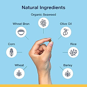 ProDen PlaqueOff Dental Bites Cat 60g