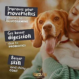 Paws&Fun – Dogs Supplement Multivitamin + Glucosamine for Hip & Joint + Probiotics for Digestion + Omega 3 Salmond Oil for Skin and Coat; 10 in 1 Chews (Peanut Butter 120ct)