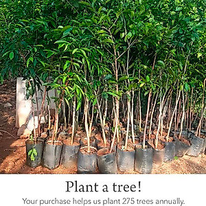 Indi Bandana Bibs for Boys & Girls, GOTS Certified Organic Bibs, 4-Way Reversible Baby Drool Bibs, 100% Organic Cotton Muslin Bibs 5-Pk