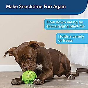 PetSafe Busy Buddy Elephunk Dog Chew Toy - Treat Dispenser - Medium/Large