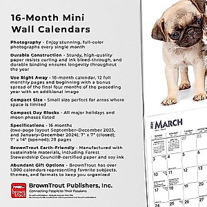Kittens & Puppies | 2024 7 x 14 Inch Monthly Mini Wall Calendar | BrownTrout | Animals Cute Dogs Cats