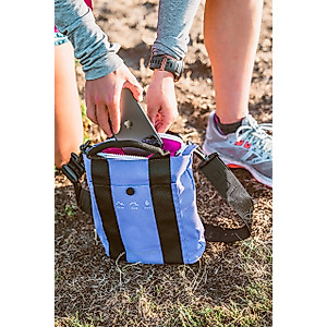 Sherpani Capri, Small Crossbody Purse with Coin Purse, Mini Tote Bag, Cross Body Purse, Small Crossbody Bag, Christmas Gifts for Women (Iris)