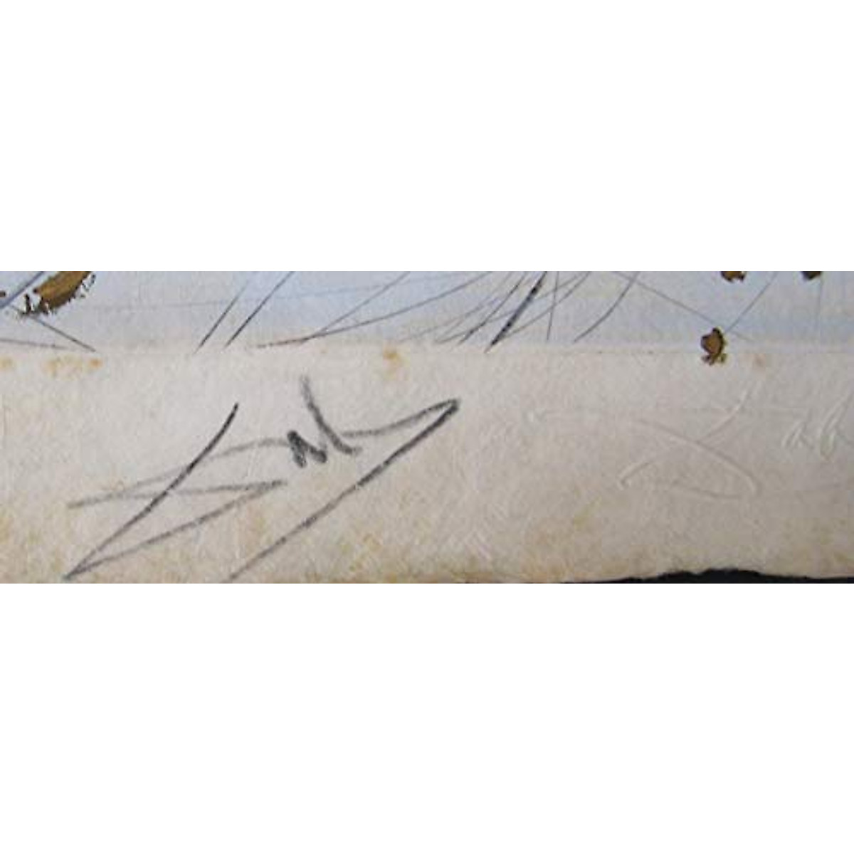 Les Amours de Cassandre Portrait de Ronsard