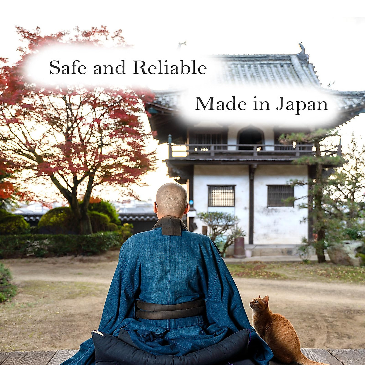 Best Chopsticks for Noodles Ramen Udon Soba Tofu Sushi All Japanese Foods (5pairs set) Made in Japan Non-slip Fiberglass Chopsticks Dishwasher Safe Washable Reusable / Family Hotel Restaurant